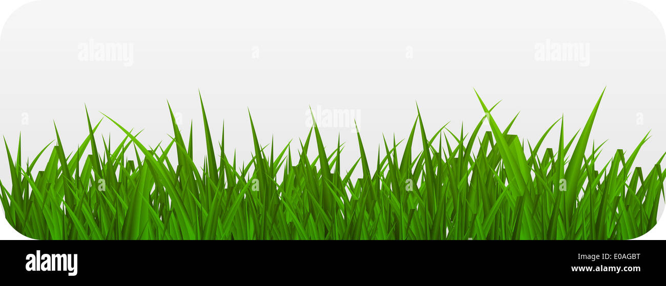 Summer Abstract Background with Grass. Vector Illustration Stock Photo ...