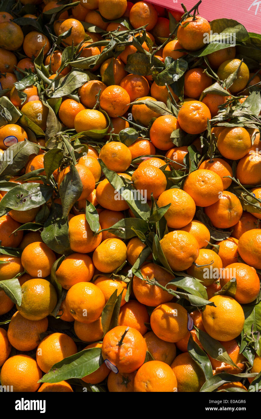 Nice orange hi-res stock photography and images - Alamy