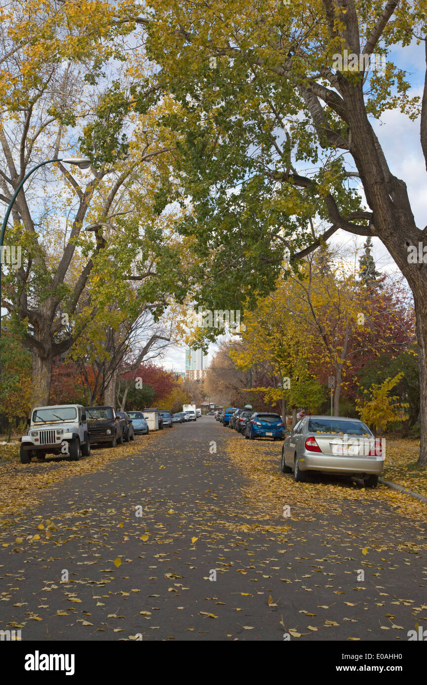 City street in a residential neighborhood with parked cars and trees ...