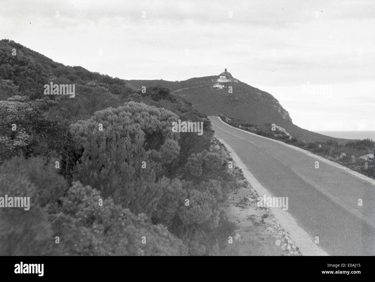 Black south africa 1920s hi-res stock photography and images - Alamy
