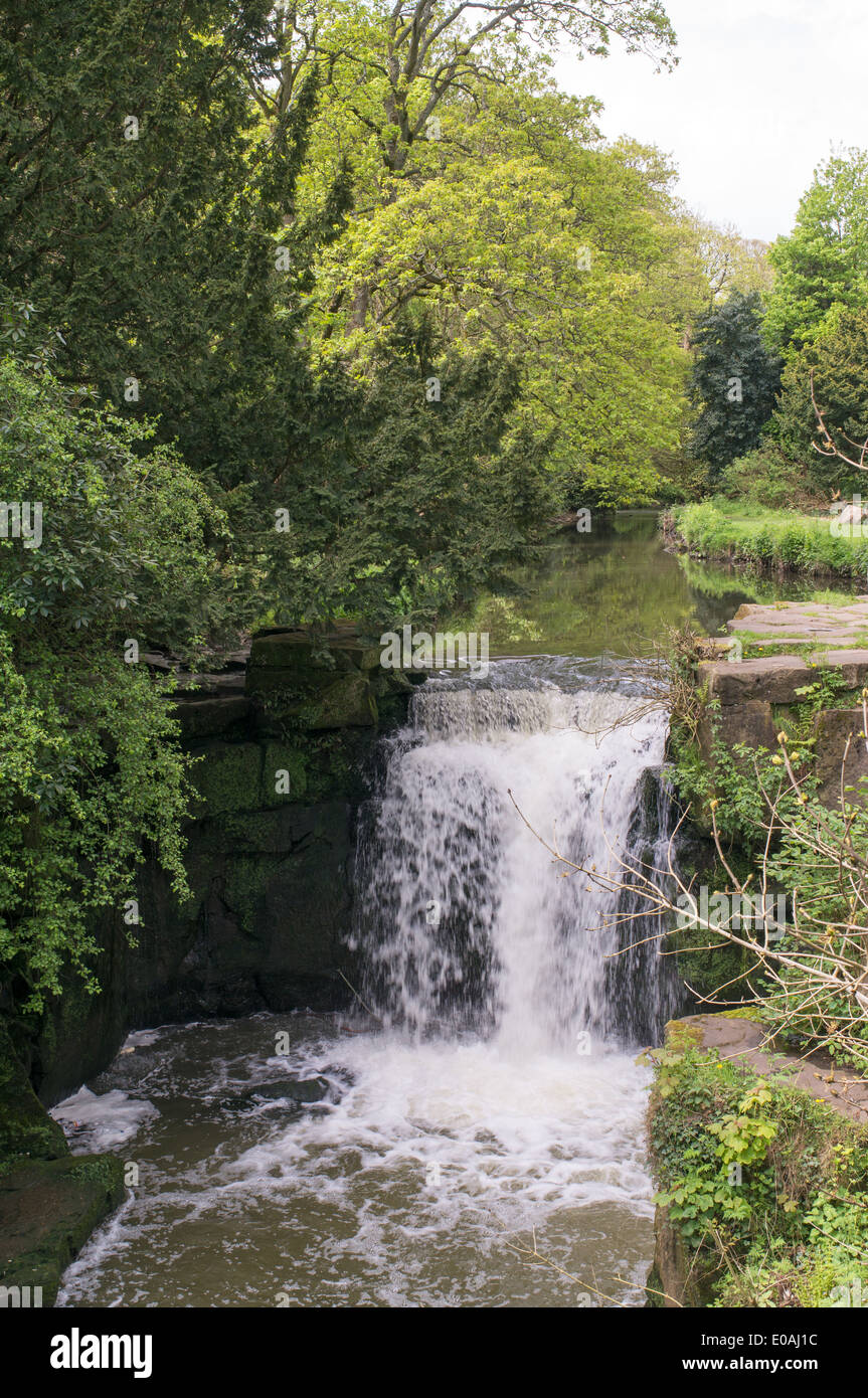 Ouseburn valley hi-res stock photography and images - Alamy