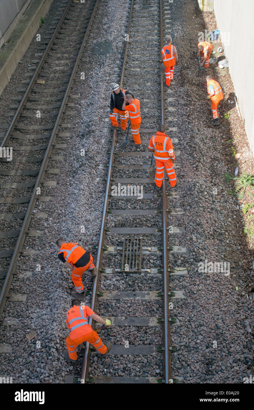 Platelayer hi-res stock photography and images - Alamy