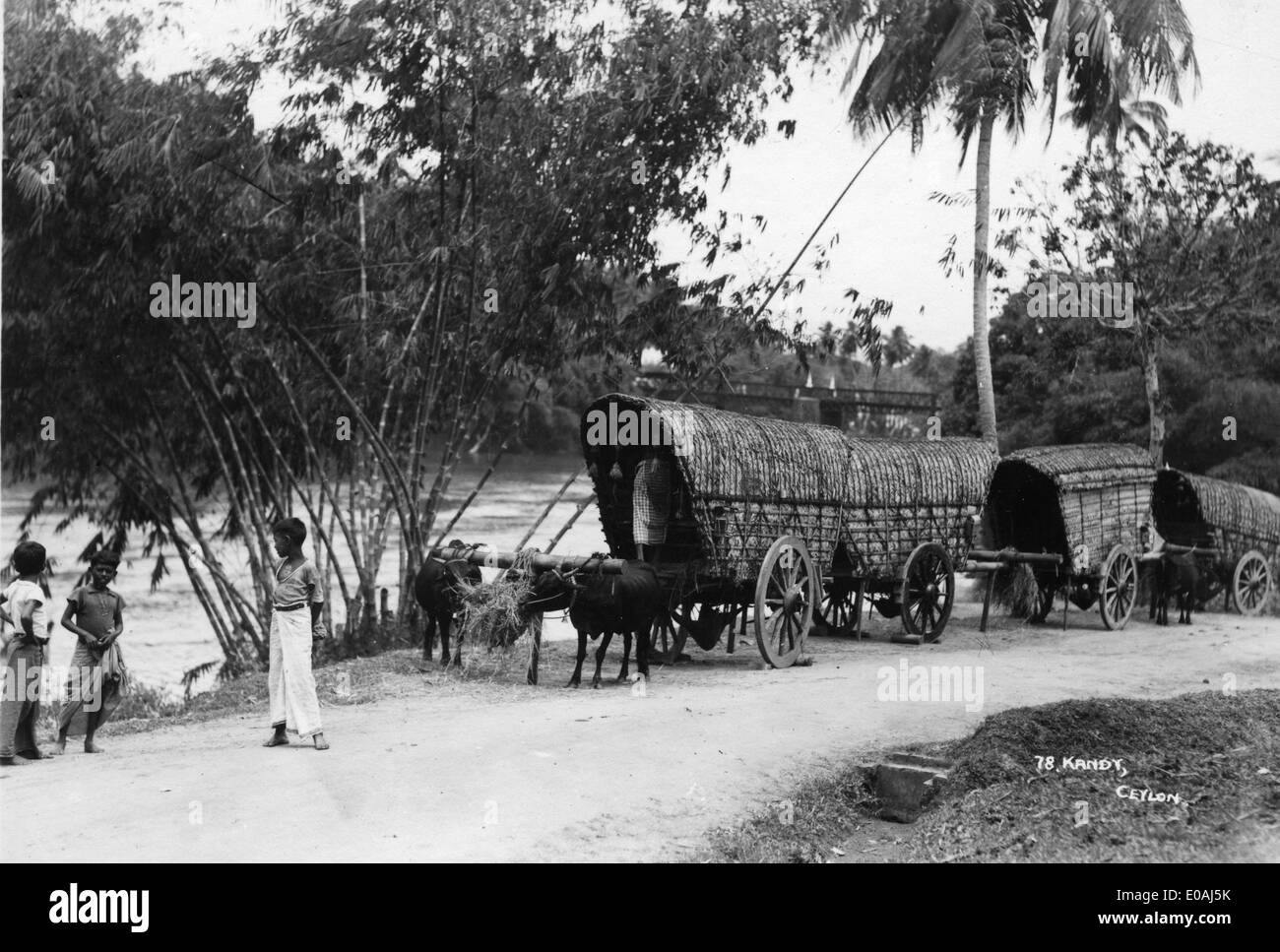 Ceylon (Sri Lanka Stock Photo - Alamy