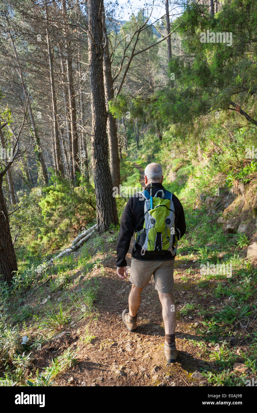 Mature Man trekking in the mountain Stock Photo - Alamy