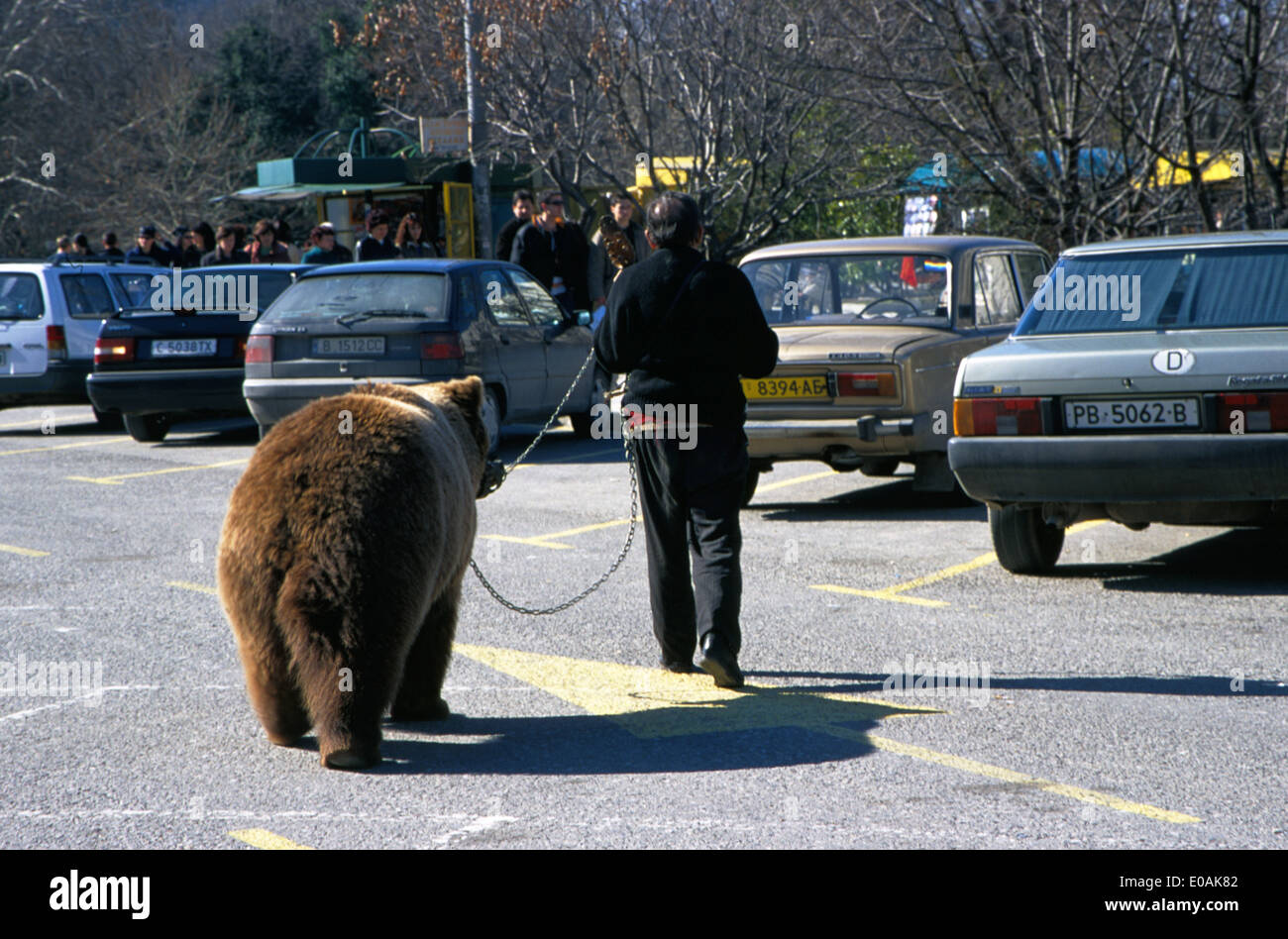 Performing animals hi-res stock photography and images - Alamy