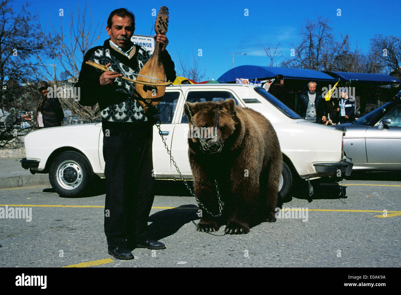 Performing animals hi-res stock photography and images - Alamy