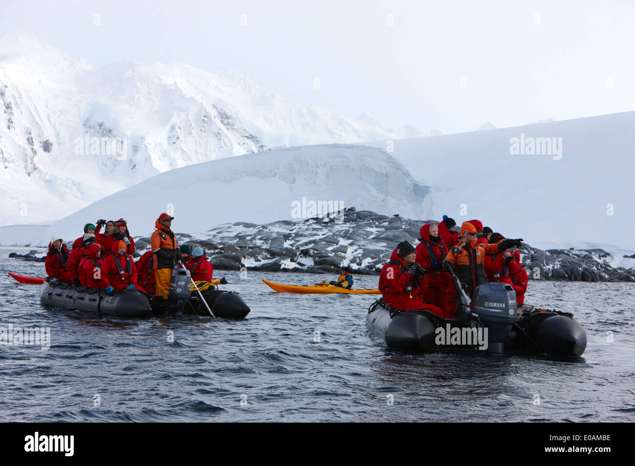 groups of tourists on zodiac excursion along with sea kayakers port ...