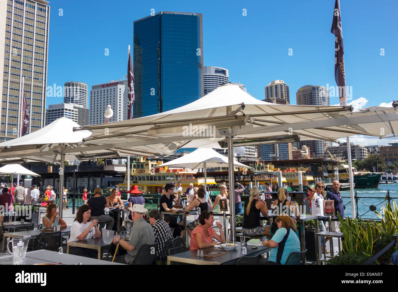 Sydney Australia,city skyline,skyscrapers,Sydney Harbour,harbor,East ...