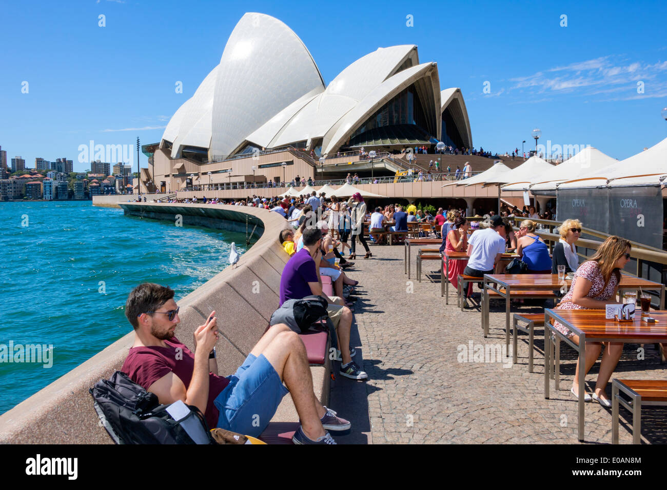 Sydney Australia,Sydney Harbour,harbor,East Circular Quay,Sydney Opera ...