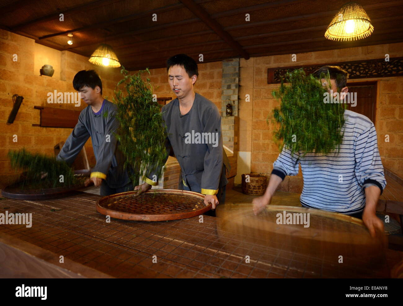 (140508) -- WUYISHAN, May 8, 2014 (Xinhua) -- Tea farmers make Wuyi ...