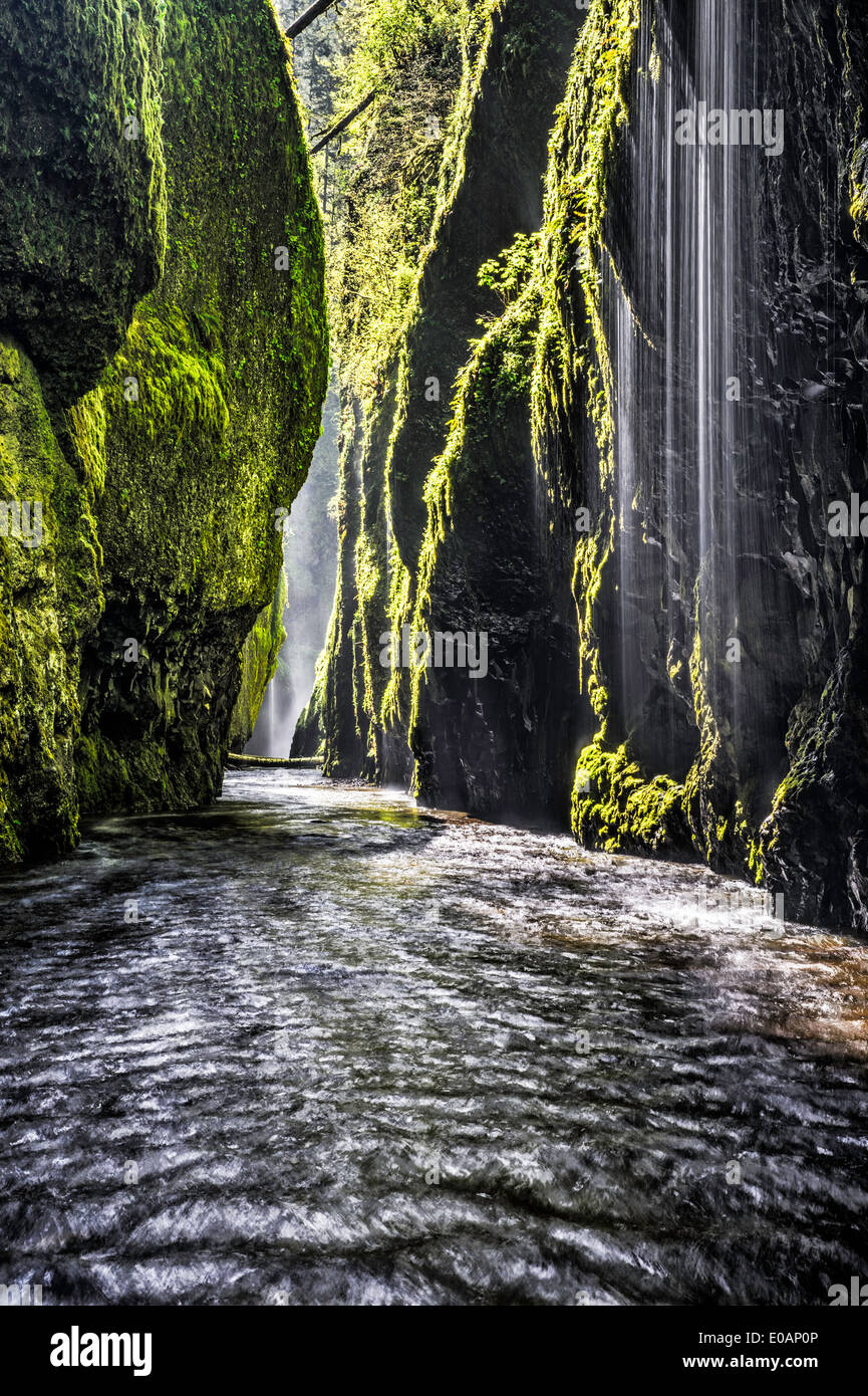 Oneonta Gorge in the Columbia River Gorge in Oregon Stock Photo - Alamy