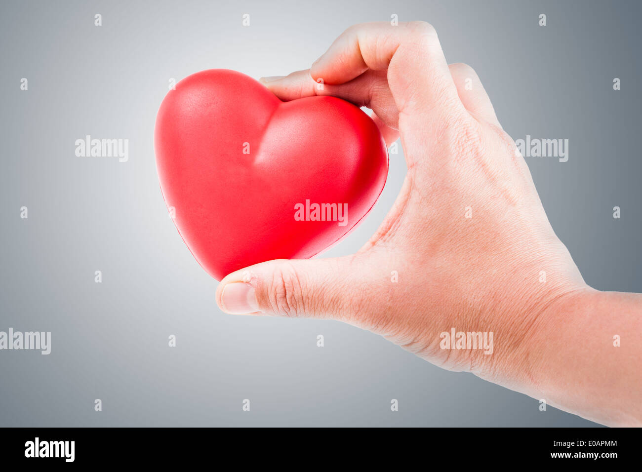 Hand Holded High Resolution Stock Photography and Images - Alamy