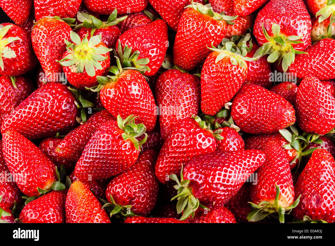 Studio shot of ripe and vibrant strawberries Stock Photo - Alamy