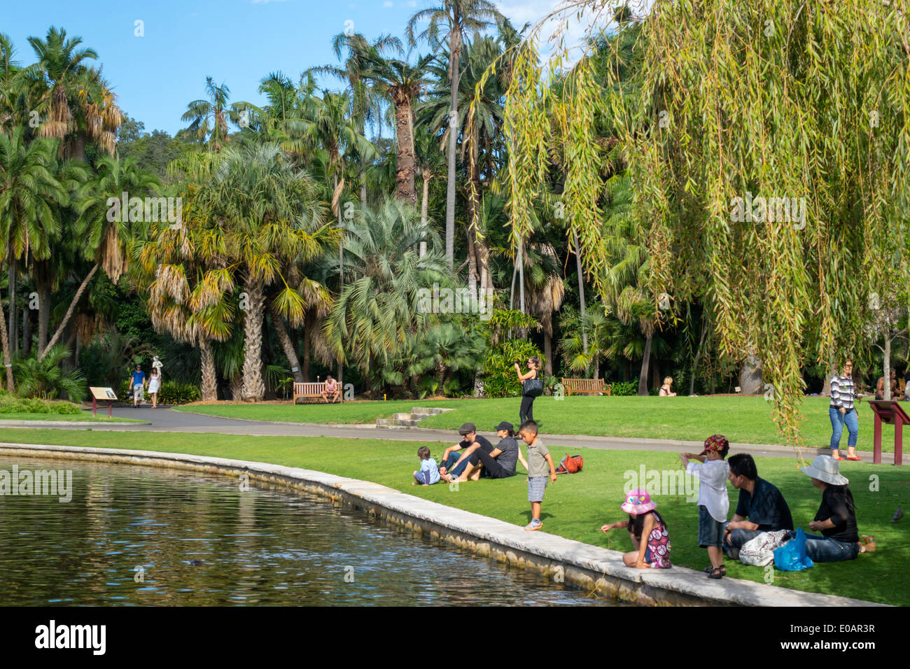 Royal Botanic Gardens Sydney Stock Photos & Royal Botanic Gardens ...