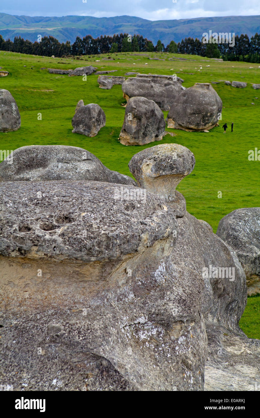 Limestone formations at Elephant Rocks Stock Photo - Alamy