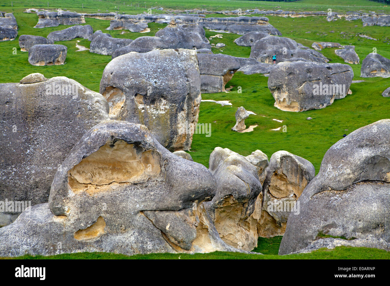 Limestone formations at Elephant Rocks Stock Photo - Alamy