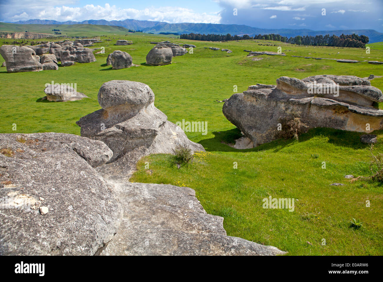 Limestone formations at Elephant Rocks Stock Photo - Alamy