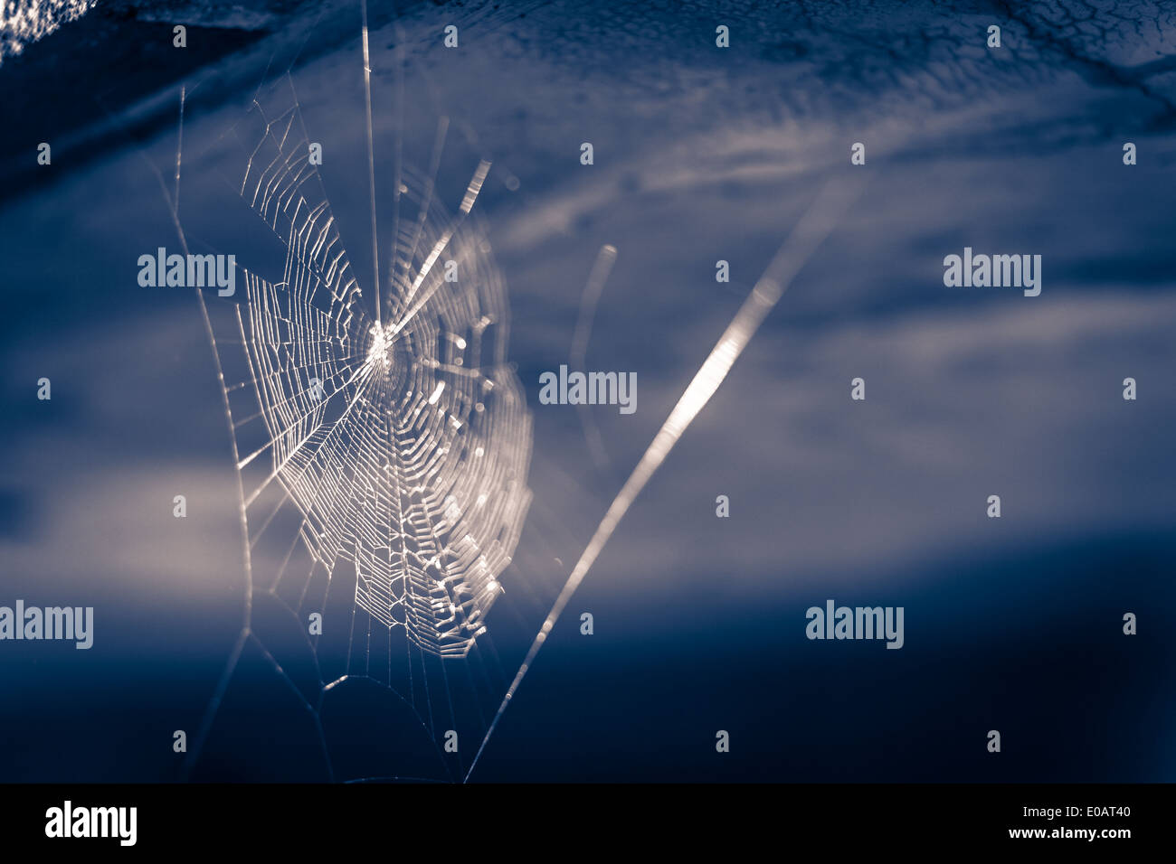 a dark and creepy spider web in the night Stock Photo - Alamy