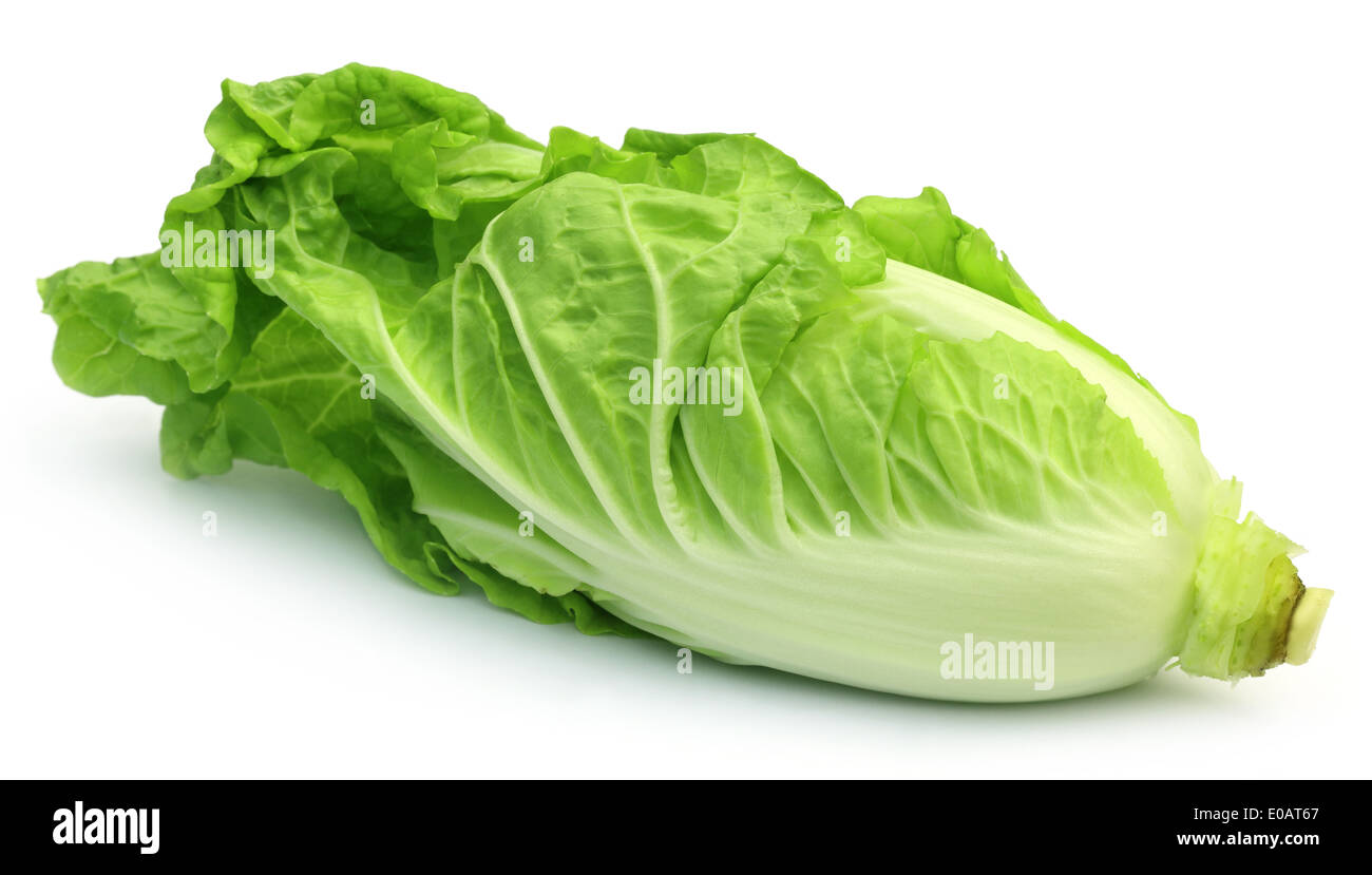 Fresh Chinese Cabbage over white background Stock Photo - Alamy