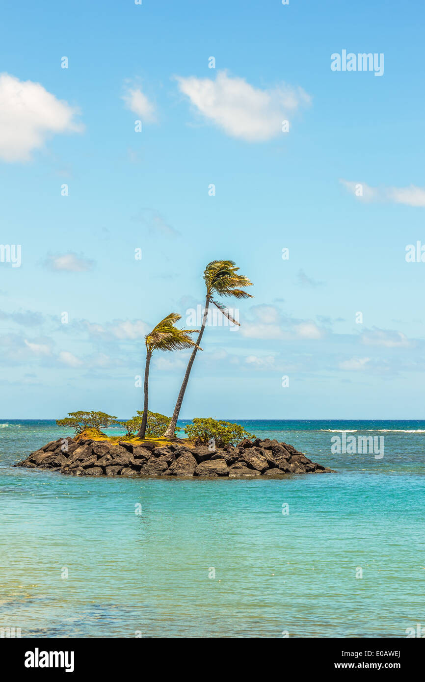 A tiny rock island with palm trees off the coast of Kahala Beach on the ...