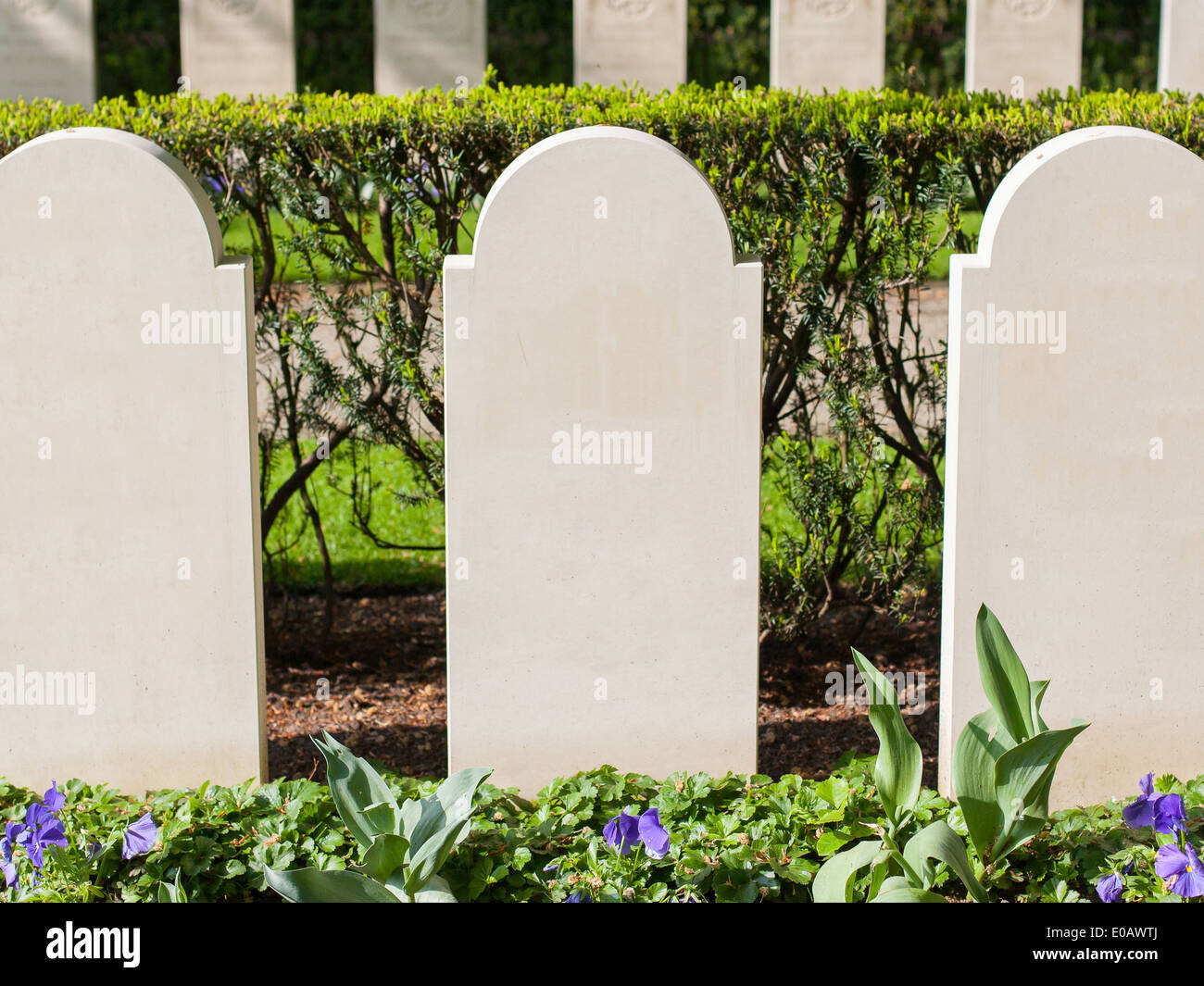 Rows of tombstones old graves from World War II Stock Photo - Alamy