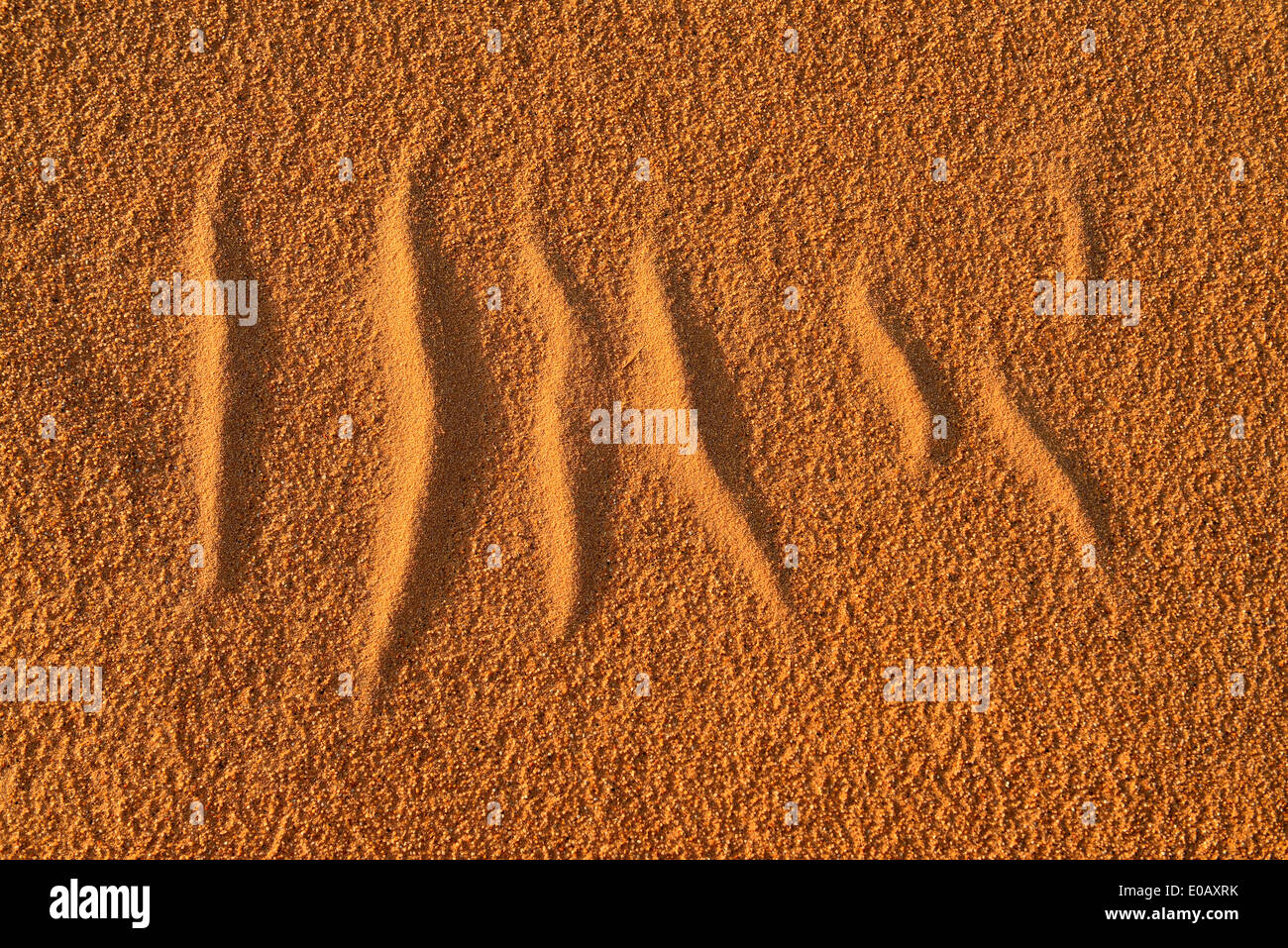 Algeria, Tassili n Ajjer, Sahara, sand ripples on a desert dune Stock ...