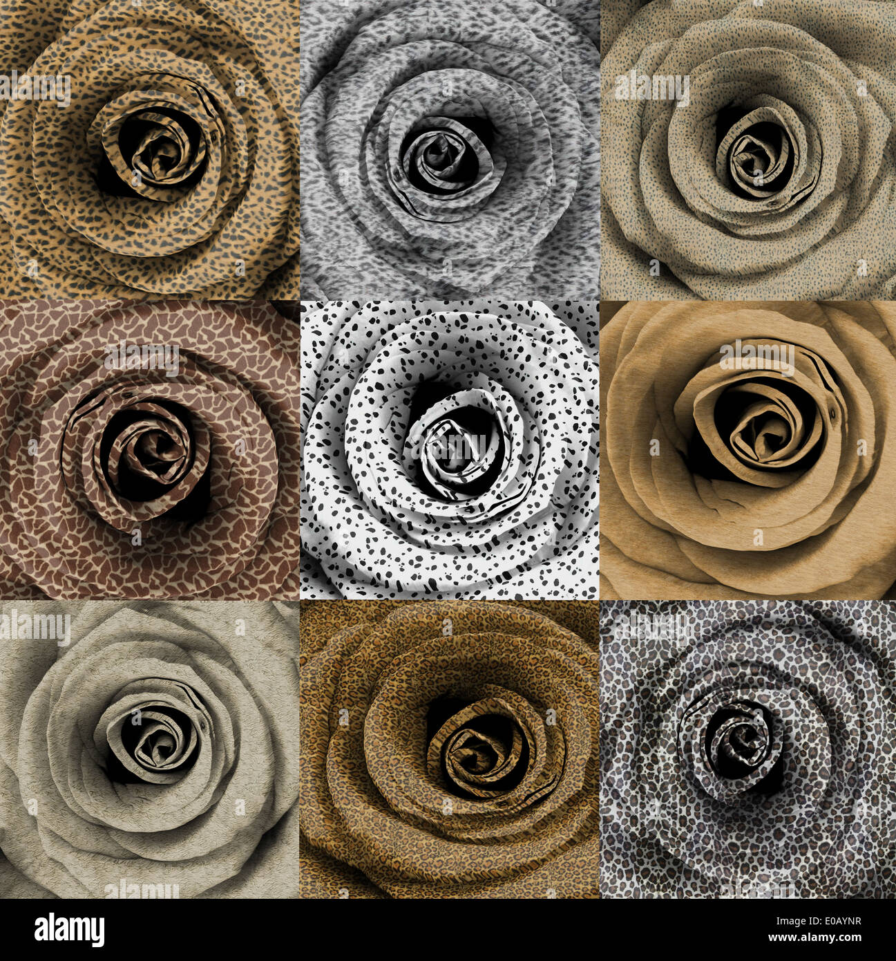 Compilation of roses with animal skin print nine roses Stock Photo - Alamy