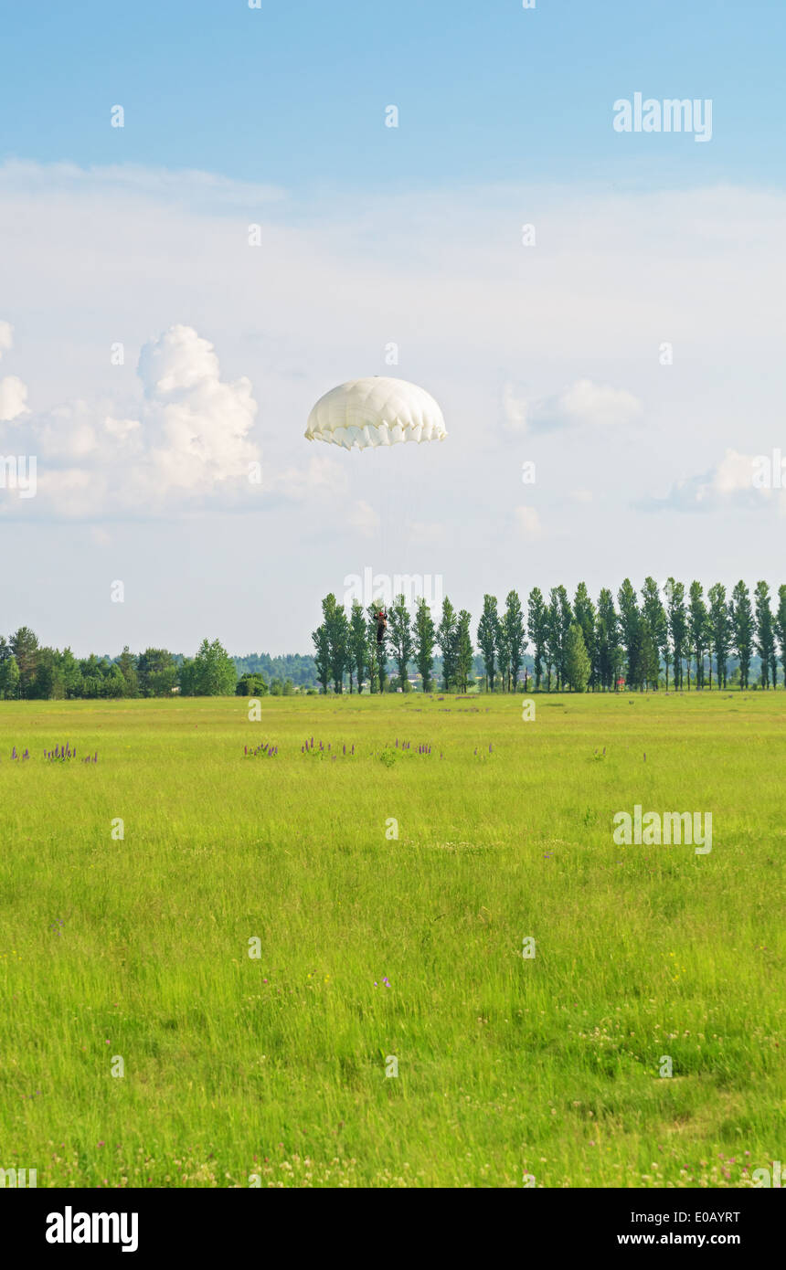 One day with parachutist in airfield. The skydiver lands under the ...