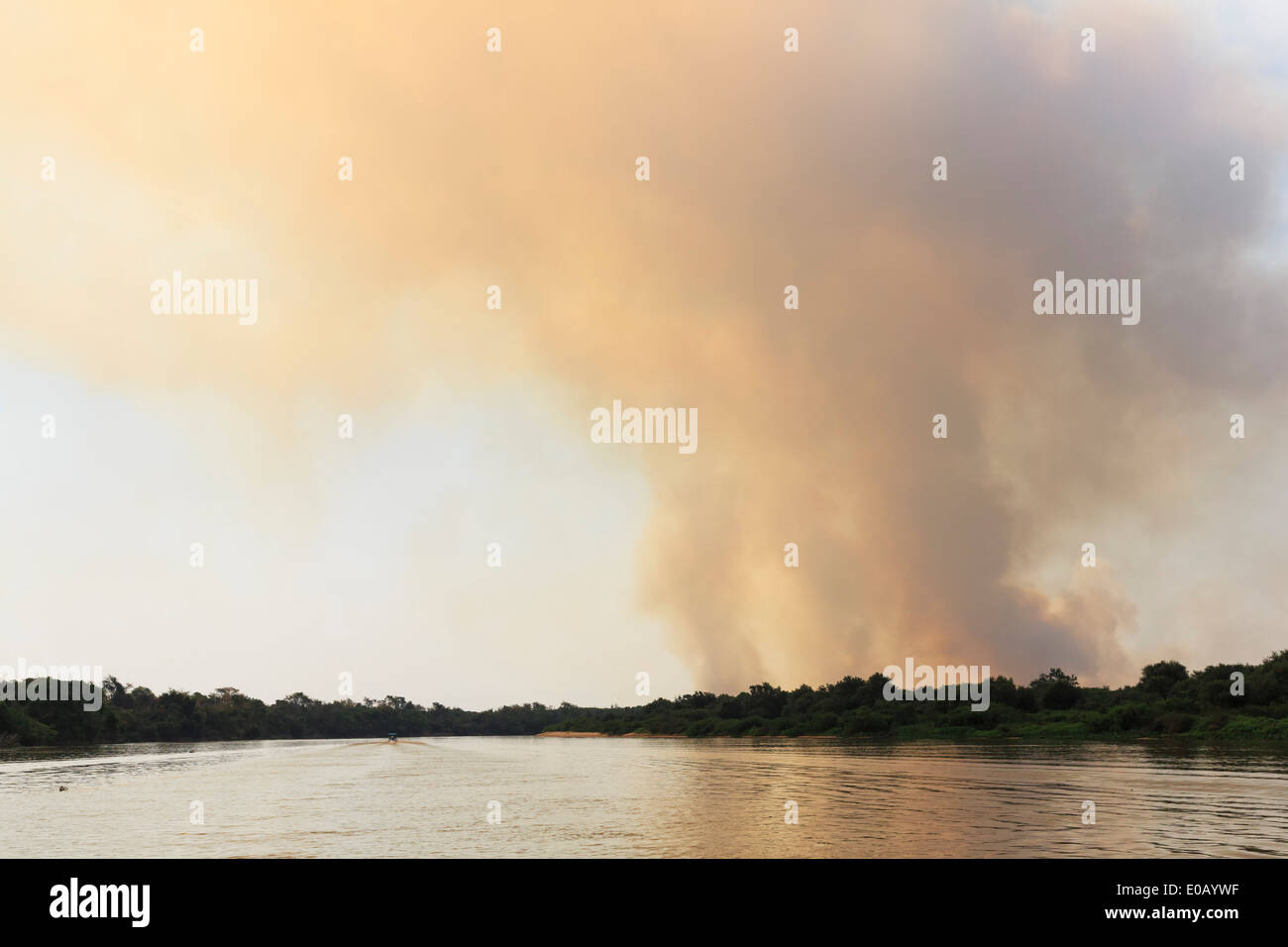 Brazil, Mato Grosso do Sul, Pantanal, Cuiaba River, Forest fire Stock ...