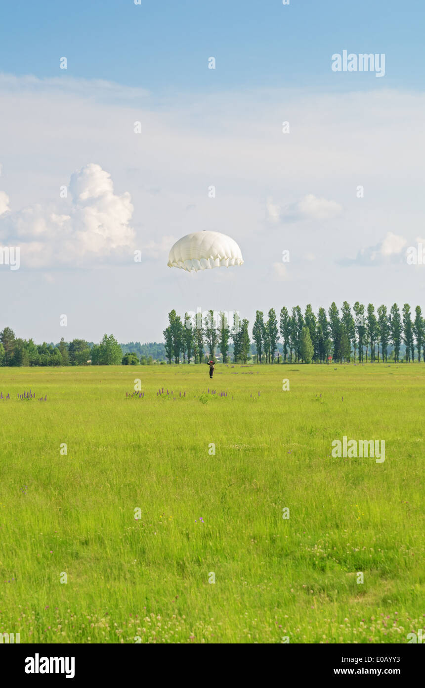 One day with parachutist in airfield. The skydiver lands under the ...