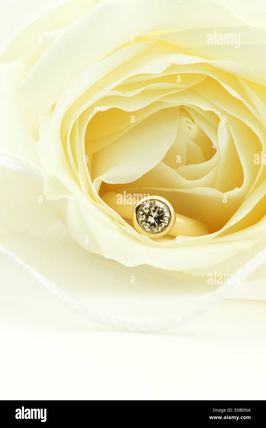Rose gold color hi-res stock photography and images - Alamy
