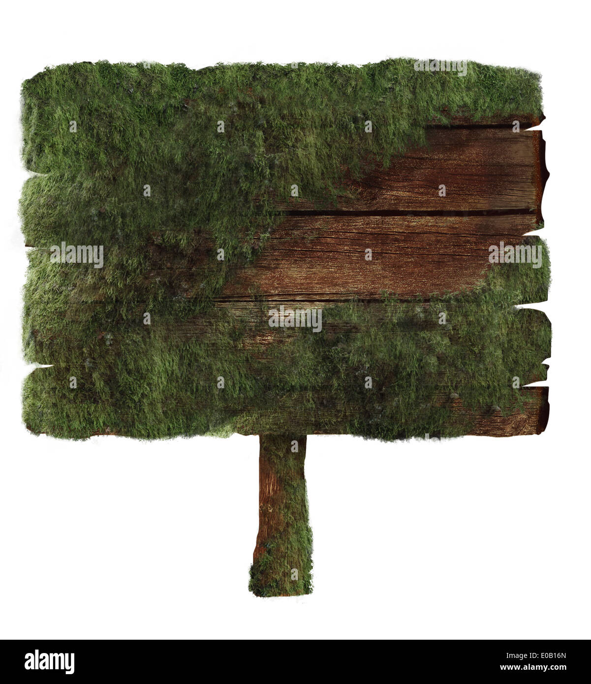 Moss road Cut Out Stock Images & Pictures - Alamy