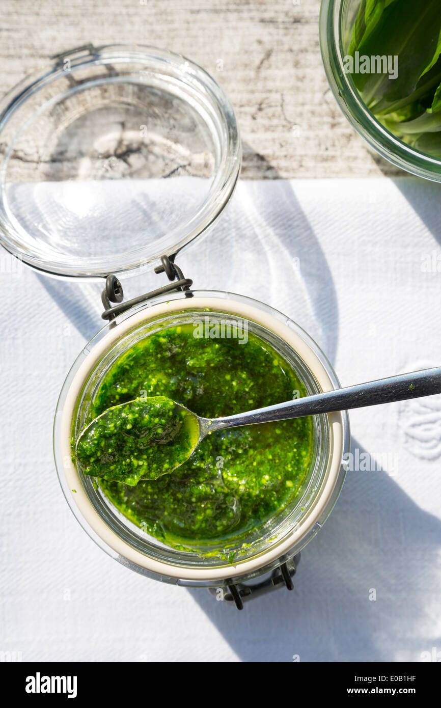 Preserving jar of wild garlic pesto on napkin and grey wooden table ...