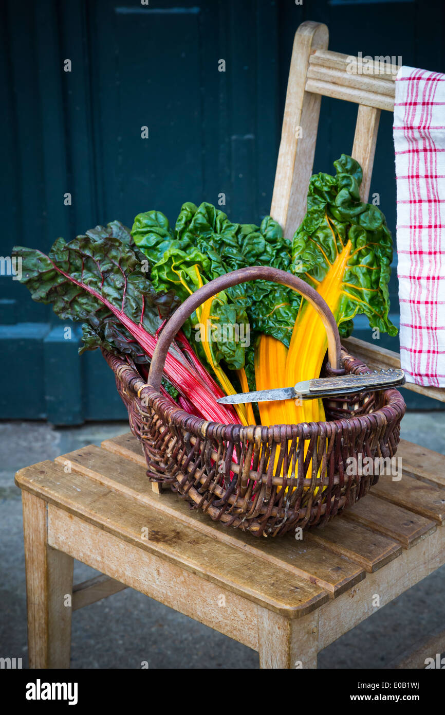 Pocket knife in the kitchen hi-res stock photography and images - Alamy