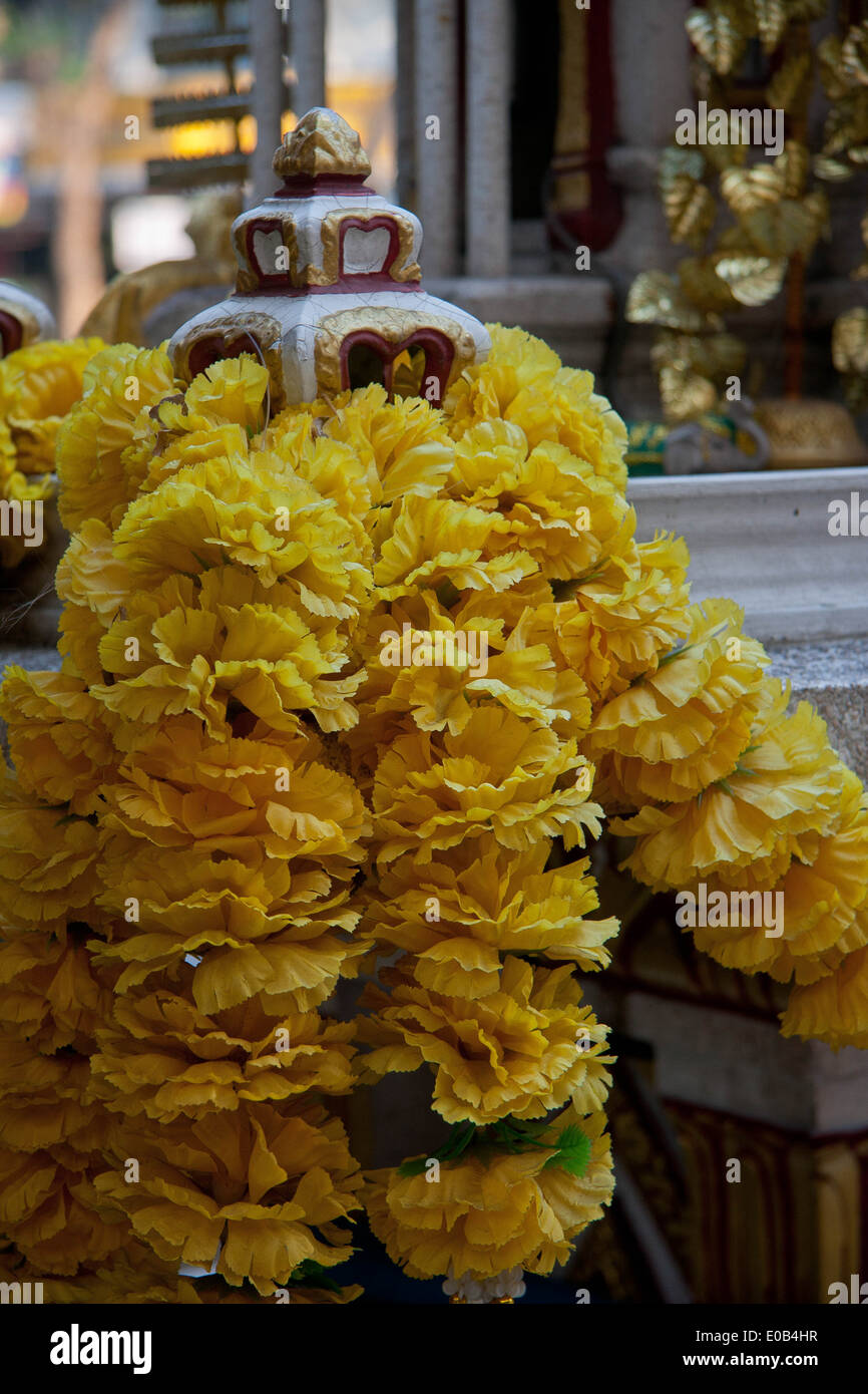 Offerings flowers buddhist temple hi-res stock photography and images ...