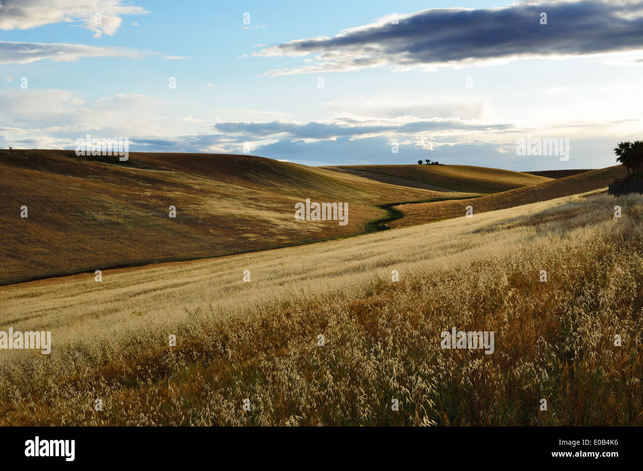 Spanish country landscape at sunset Stock Photo - Alamy