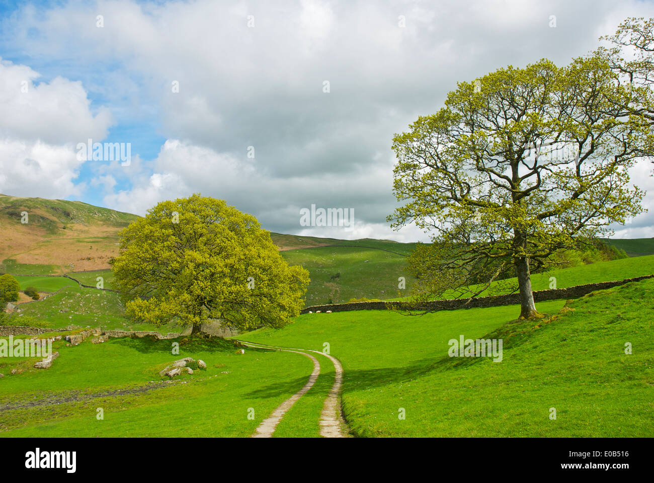 Farm track in Kentmere, Lake District National Park, Cumbria, England ...