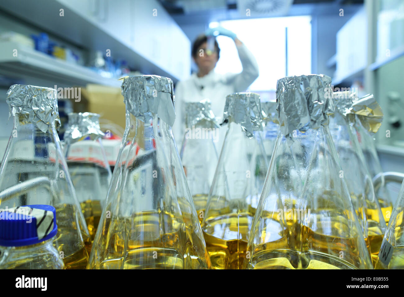 Cell culture hi-res stock photography and images - Alamy