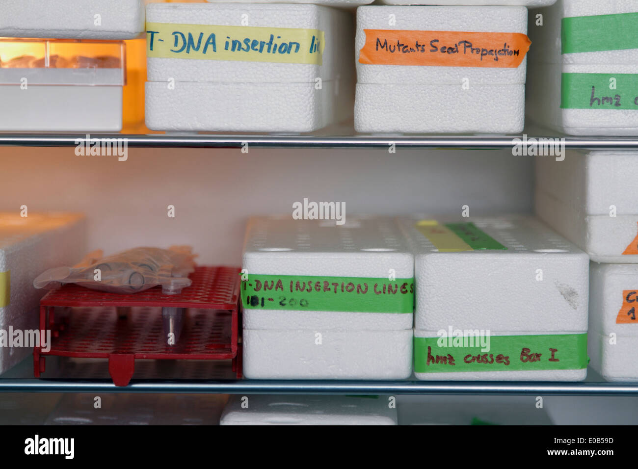 Labware hi-res stock photography and images - Alamy