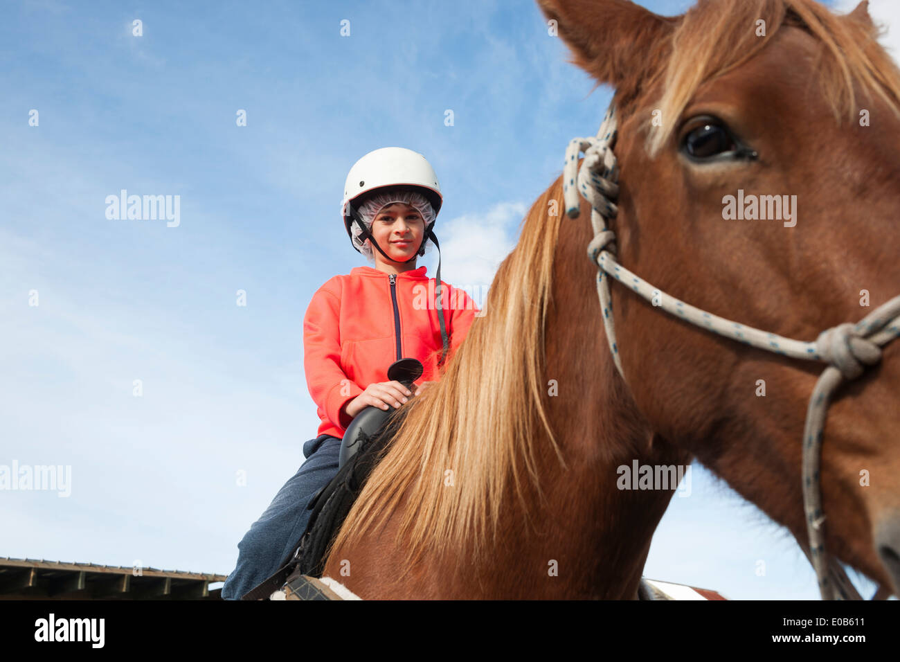 Young boy on horseback wearing helmet get ready to learn to ride.Horse ...