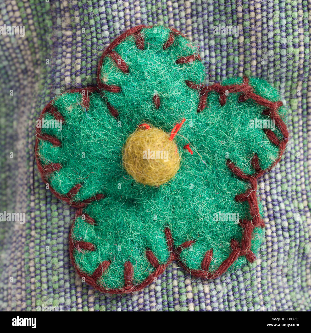 Simple textured blue-green flower with fluffy fibres and a central ...