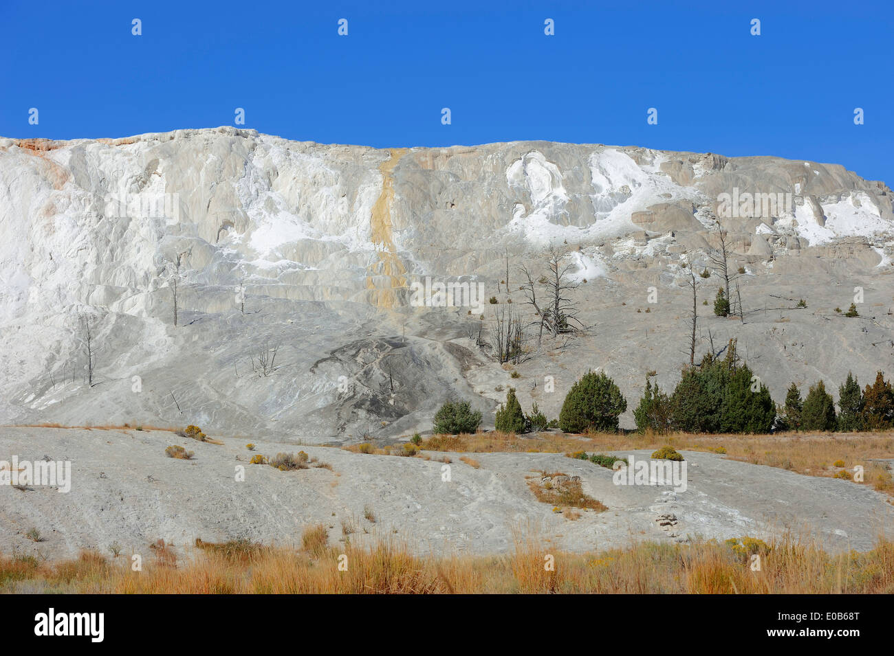 Travertine terrace Canary Spring, Mammoth Hot Springs, Yellowstone ...