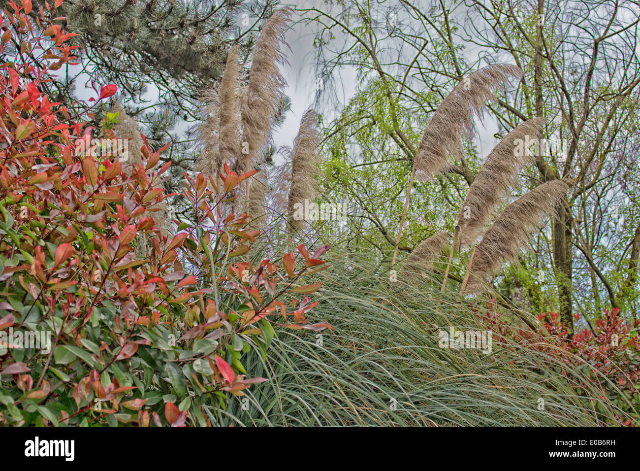 Green leaves and trees on sunlight in Italian countryside Stock Photo ...