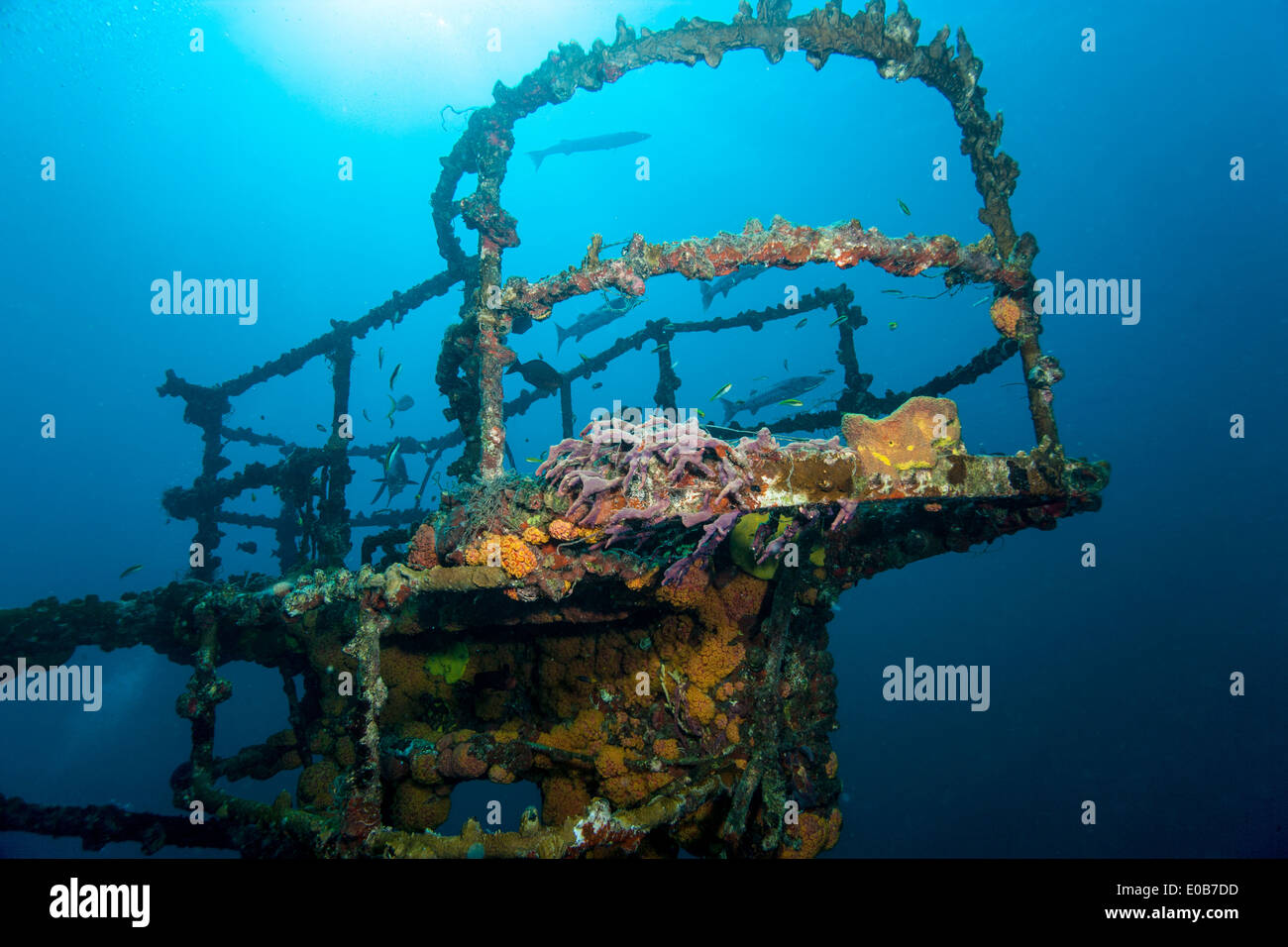 Uscg Cutter Duane Pictures