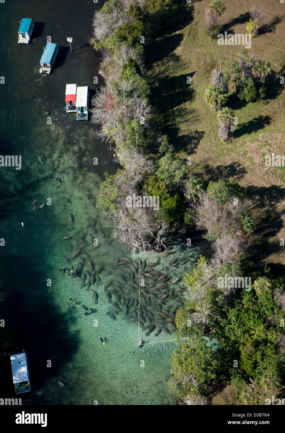 Crystal river springs florida hi-res stock photography and images - Alamy
