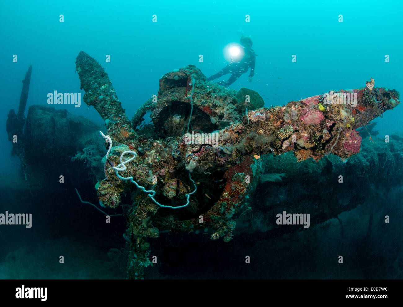 Scuba Diver Looking At Camera Underwater Coral High Resolution Stock ...