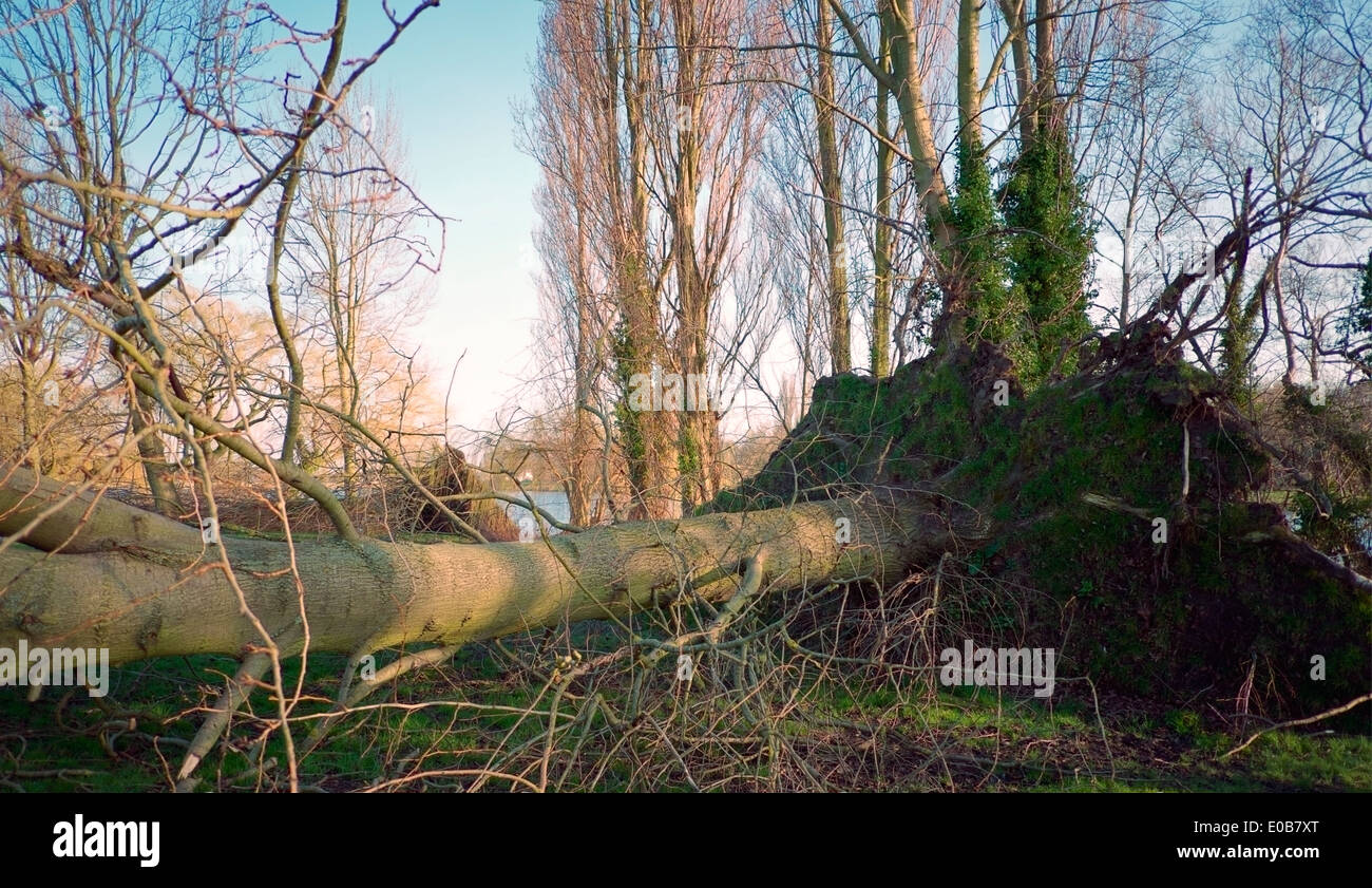 Horizontal aftermath hi-res stock photography and images - Alamy