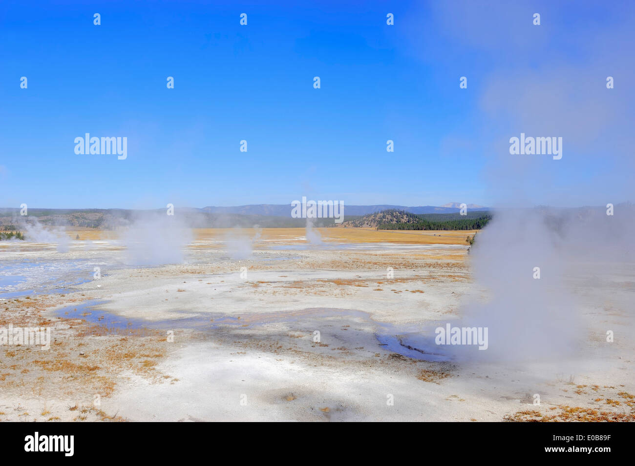 Geyser, Fountain Paint Pot area, Yellowstone national park, Wyoming ...