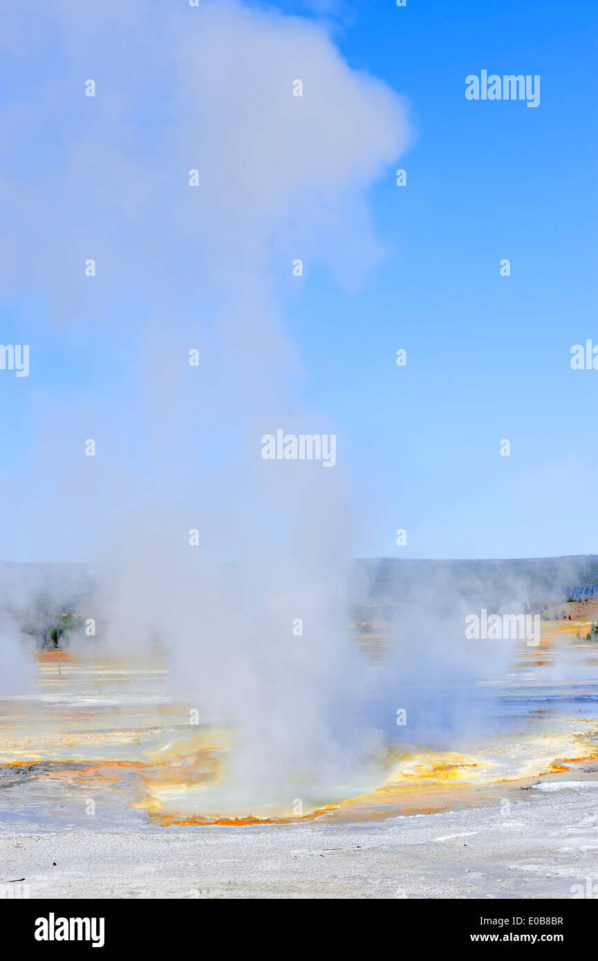 Clepsydra Geyser, Fountain Paint Pot area, Yellowstone national park ...