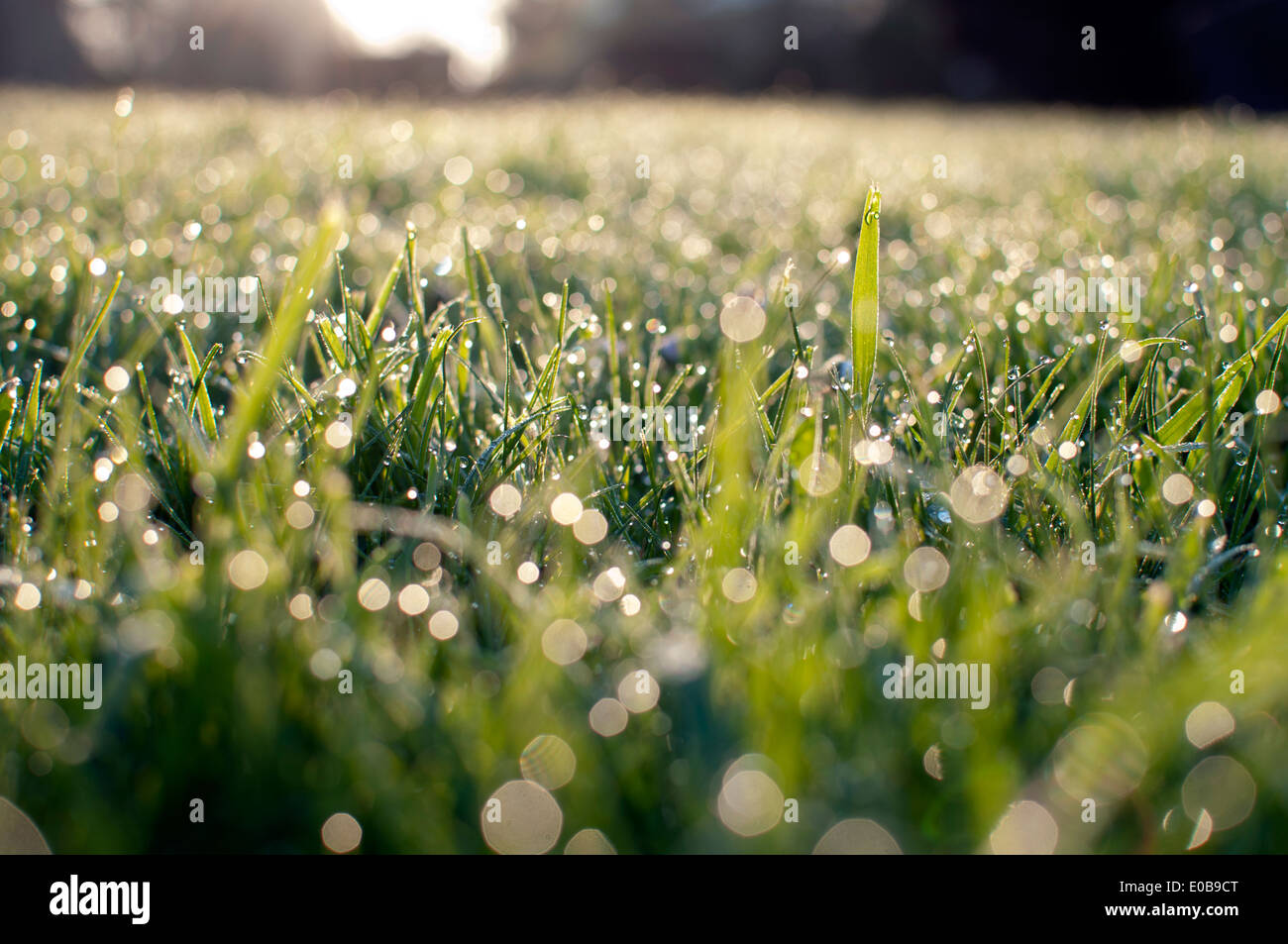 From low angle viewpoint hi-res stock photography and images - Alamy